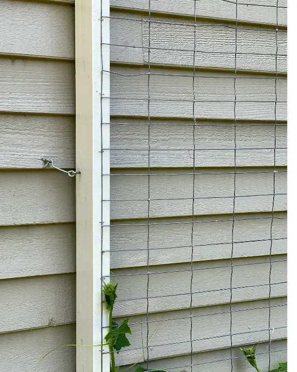 Building a Garden Fence, including a Cucumber Screen