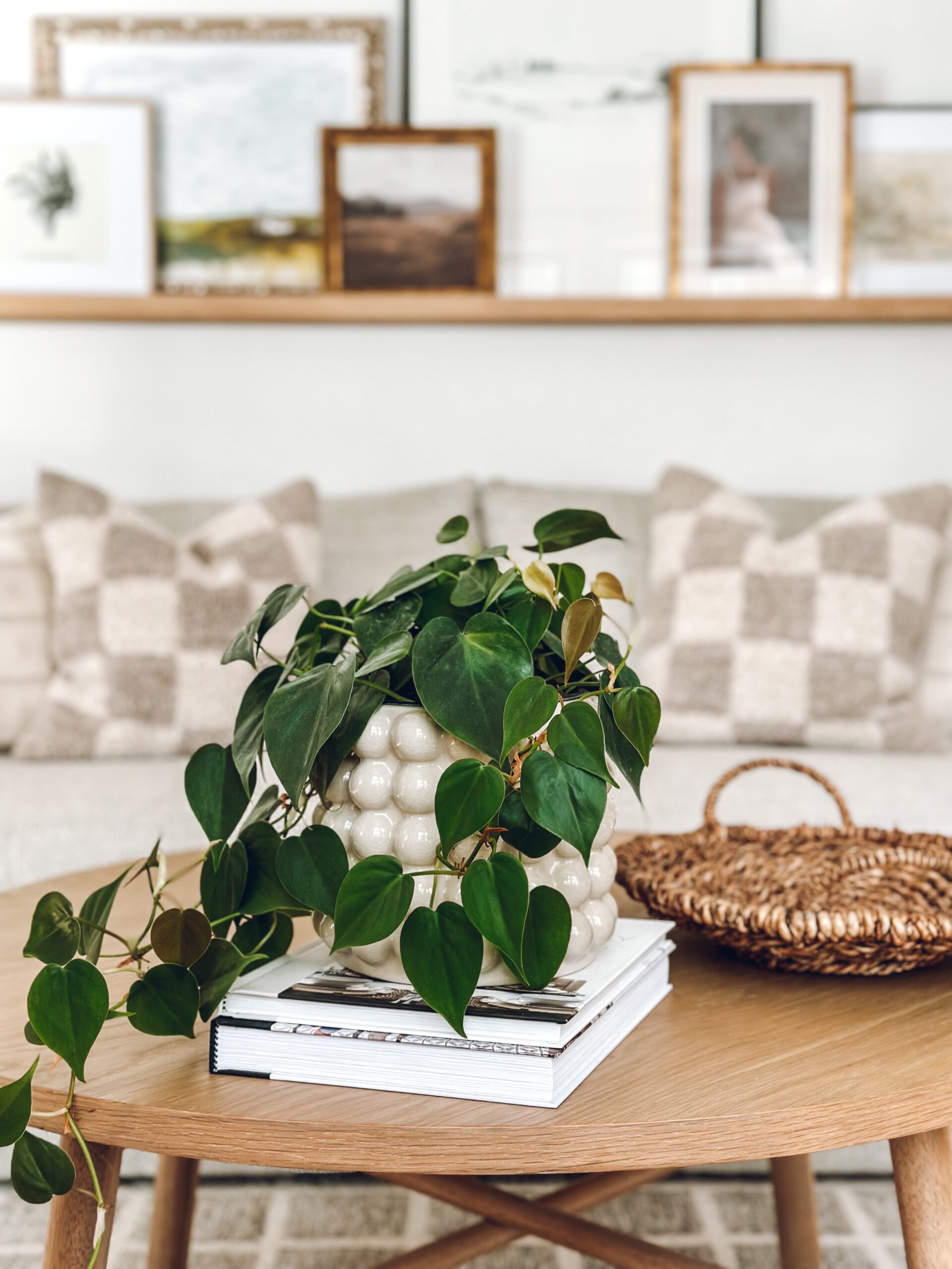 How to Make an Art Ledge