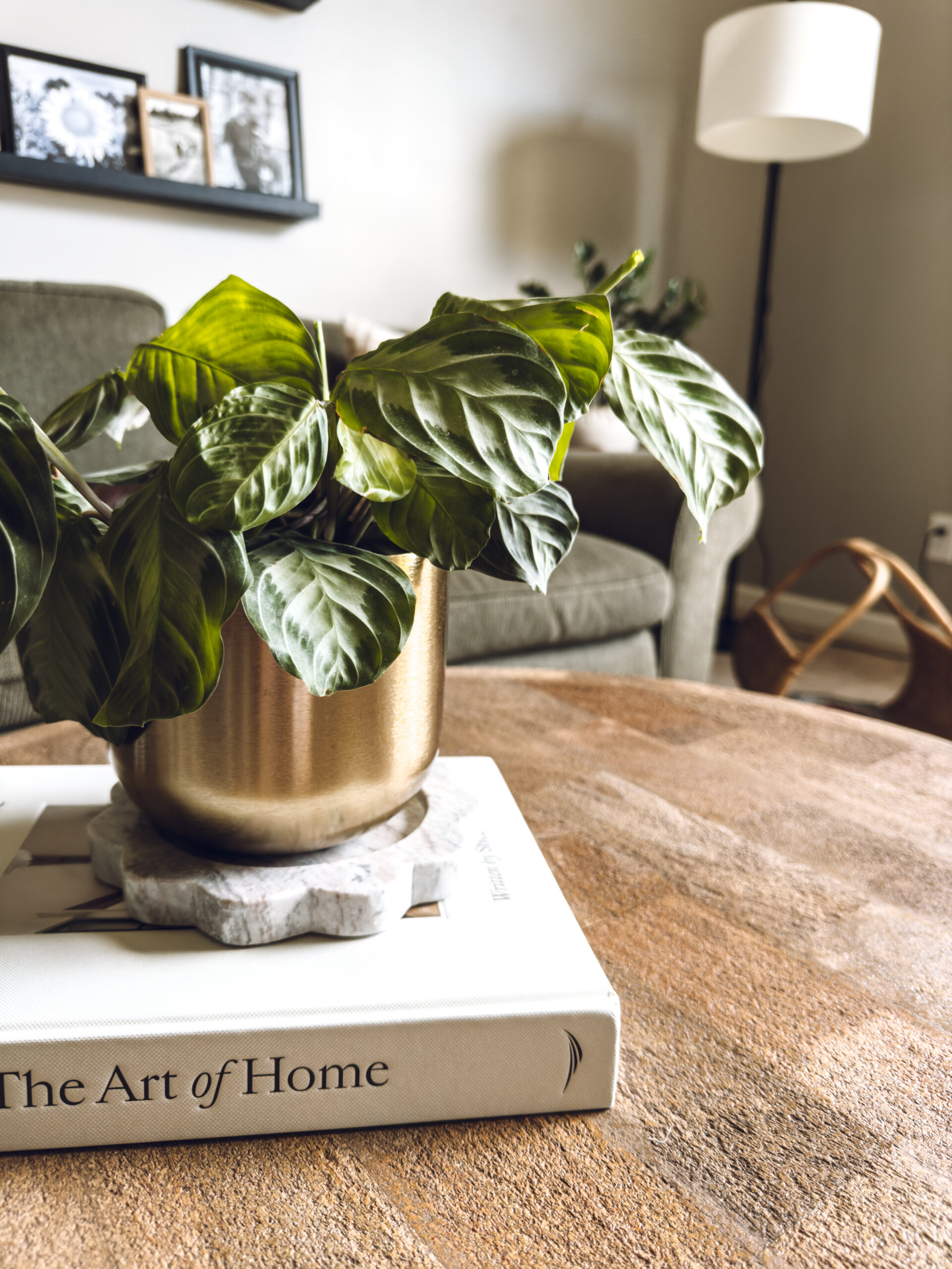 10 Unique Ways to Use a Small Round Marble Tray